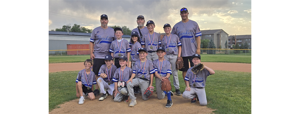 Home [www.cybaseball.com]