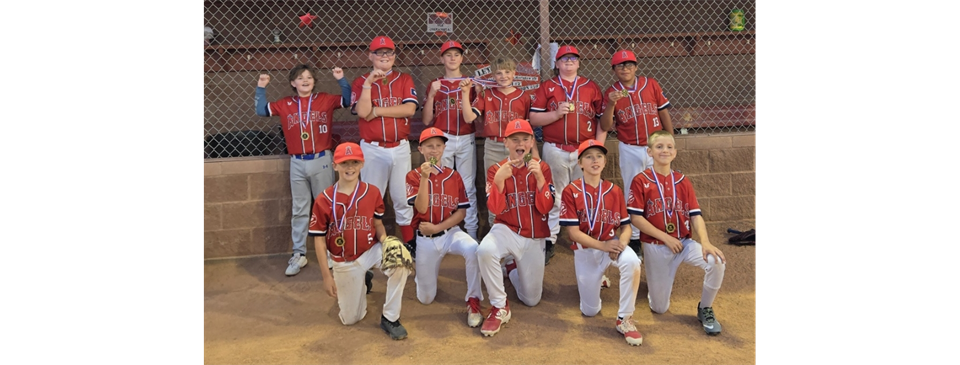 Home [www.cybaseball.com]