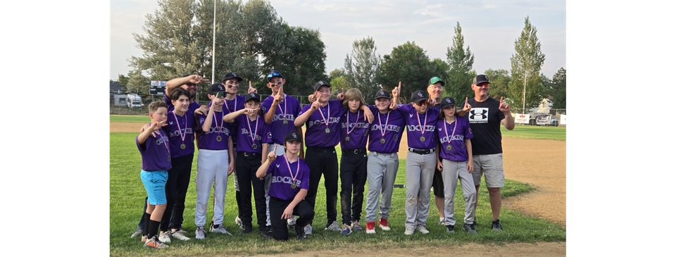 Home [www.cybaseball.com]